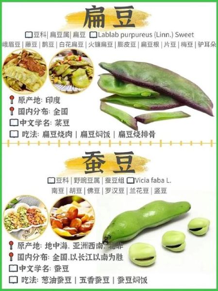 豆角品种图片大全_豆角品种怎么区分-第2张图片-山城妙识