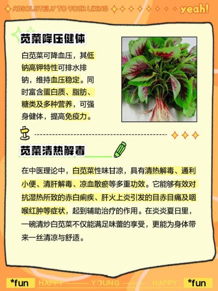 吃苋菜有什么好处和坏处_苋菜吃多了会伤肾吗-第1张图片-山城妙识