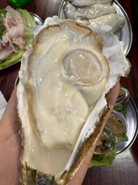 吃生蚝壮阳吗_生蚝壮阳真相-第1张图片-山城妙识 吃生蚝壮阳吗_生蚝壮阳真相-第1张图片-山城妙识