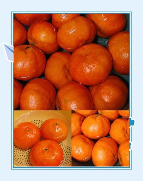 陈皮怎么做_可以自己做吗-第3张图片-山城妙识