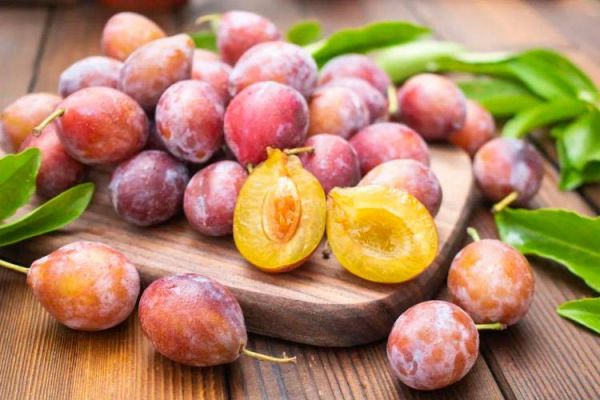 经常便秘吃什么好_便秘吃什么最快排便-第2张图片-山城妙识