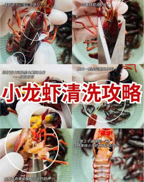 龙虾怎么洗才干净_龙虾清洗视频教程-第2张图片-山城妙识