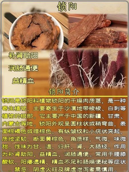 锁阳的功效与作用_锁阳怎么吃效果最好-第1张图片-山城妙识