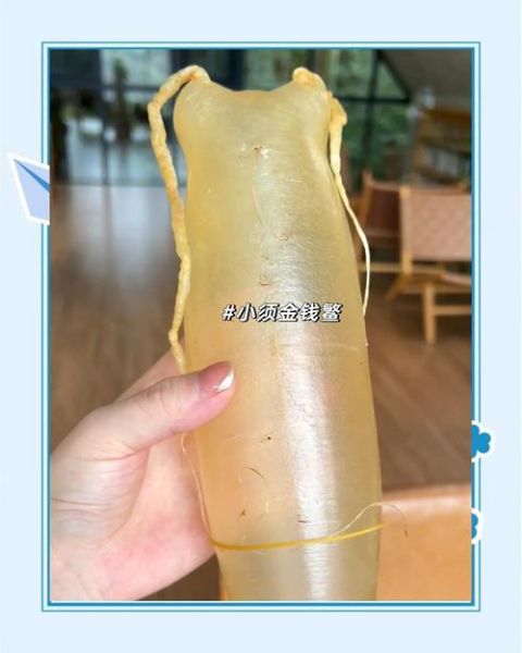 黄唇鱼胶多少钱一斤_黄唇鱼胶真假怎么辨别-第1张图片-山城妙识