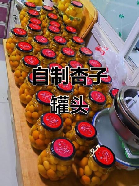 杏罐头怎么做_杏罐头家庭自制方法-第1张图片-山城妙识