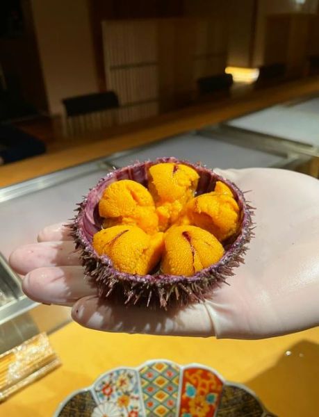 海胆怎么清洗_海胆刺扎到手怎么办-第1张图片-山城妙识