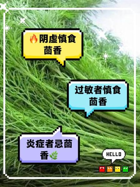 茴香菜哪些人不能吃_孕妇能吃茴香菜吗-第2张图片-山城妙识