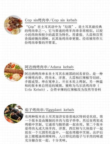 土耳其烤肉怎么做_土耳其烤肉腌制配方-第1张图片-山城妙识
