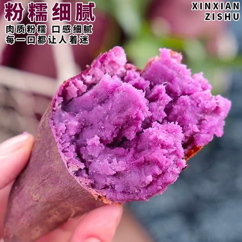 紫红薯是转基因吗_紫红薯和紫薯区别-第3张图片-山城妙识