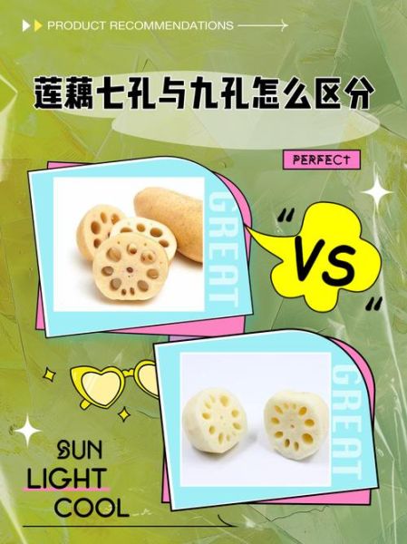 7孔藕和9孔藕的区别_11孔藕适合做什么菜-第1张图片-山城妙识