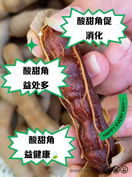 甜酸角的功效与作用_甜酸角的营养价值有哪些-第1张图片-山城妙识