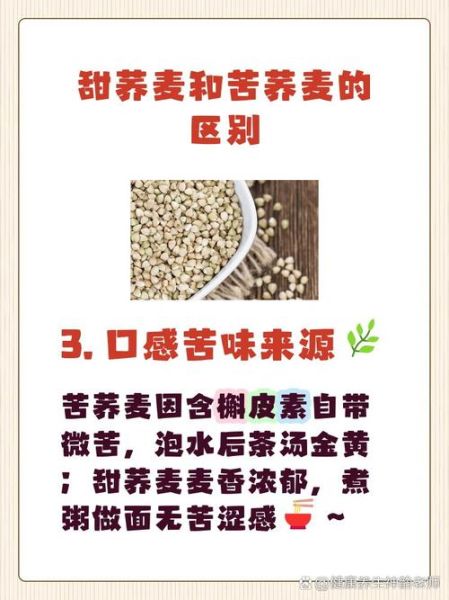 甜荞麦的功效与作用_甜荞麦怎么吃最健康-第3张图片-山城妙识