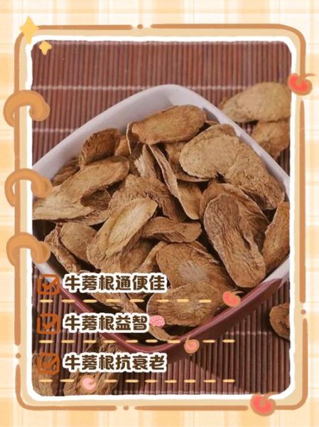 牛蒡根配什么泡茶喝壮阳_牛蒡根壮阳茶配方大全-第1张图片-山城妙识 牛蒡根配什么泡茶喝壮阳_牛蒡根壮阳茶配方大全-第1张图片-山城妙识