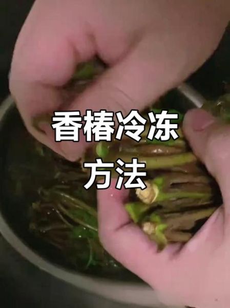 香椿芽怎么保存_香椿芽冷藏还是冷冻-第1张图片-山城妙识