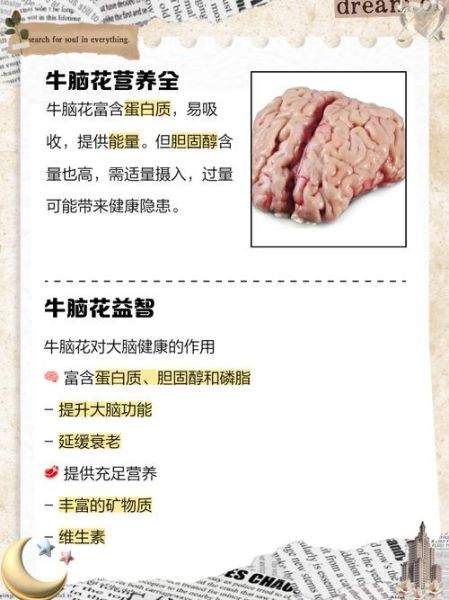 牛脑的功效与作用_牛脑怎么吃最补脑-第1张图片-山城妙识
