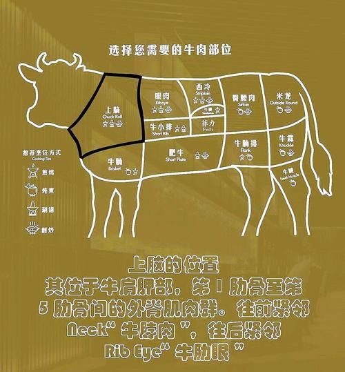 牛脑的功效与作用_牛脑怎么吃最补脑-第2张图片-山城妙识