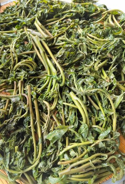 香椿芽腌制几天吃最好_香椿芽腌制多久可以吃-第1张图片-山城妙识