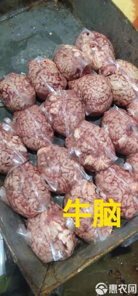 牛脑的功效与作用_牛脑怎么吃最补脑-第3张图片-山城妙识