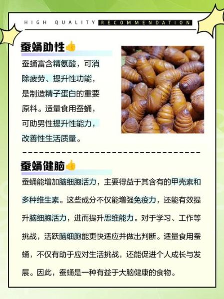 蚕蛹补肾吗_蚕蛹补肾效果怎么样-第1张图片-山城妙识