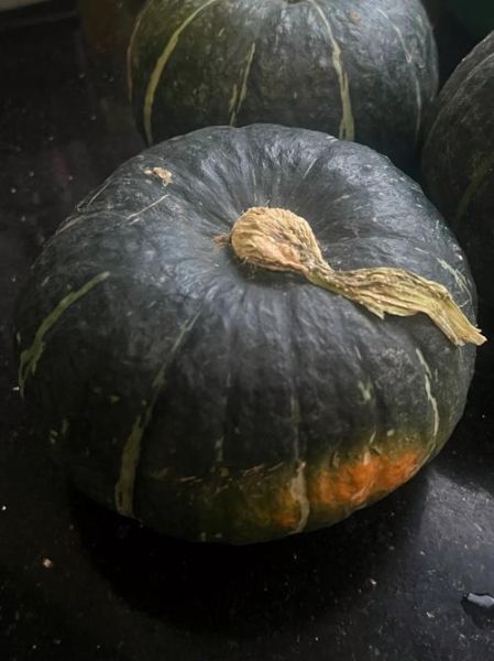 贝贝板栗南瓜的功效与作用_孕妇能吃吗-第3张图片-山城妙识