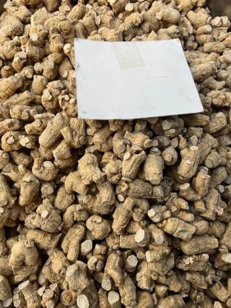 花旗参的功效与作用禁忌_哪些人不能吃花旗参-第3张图片-山城妙识