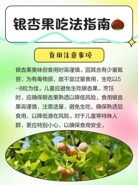 银杏果怎么吃最安全_银杏果食用方法有几种-第1张图片-山城妙识