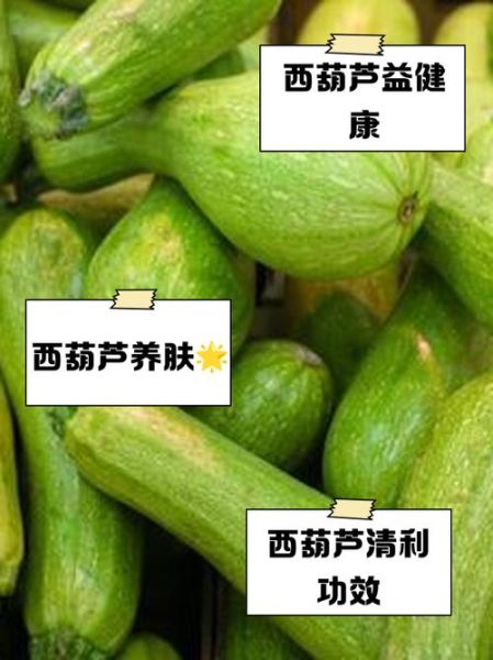 吃西葫芦容易致癌是真的吗_西葫芦致癌谣言解析-第2张图片-山城妙识