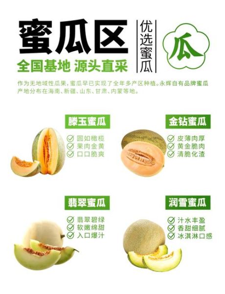蜜瓜怎么挑选_蜜瓜保存多久-第2张图片-山城妙识