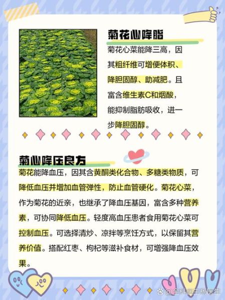 菊花菜怎么做好吃_菊花菜营养价值-第3张图片-山城妙识