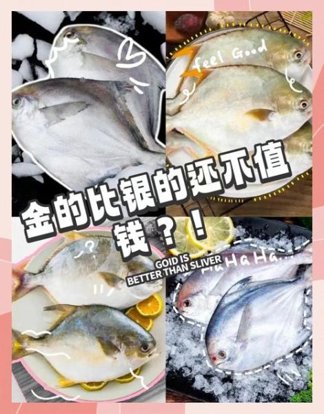 银鲳鱼和金鲳鱼的区别_哪个更好吃-第1张图片-山城妙识