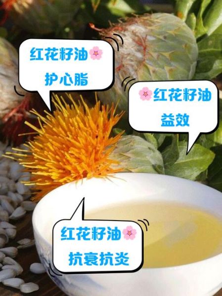 红花籽油怎么吃_红花籽油适合凉拌吗-第1张图片-山城妙识