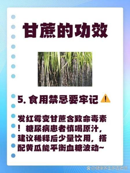 蔗糖的功效与作用_蔗糖吃多了会胖吗-第2张图片-山城妙识