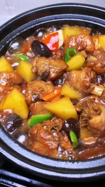 炖鸡腿怎么做好吃_家常炖鸡腿的做法视频-第2张图片-山城妙识