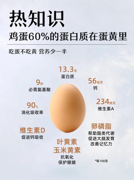 鸡蛋营养价值有哪些_鸡蛋的功效与作用是什么-第2张图片-山城妙识