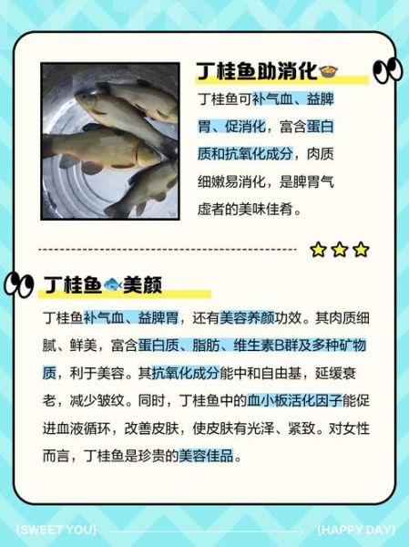 丁桂鱼好吃吗_丁桂鱼口感怎么样-第1张图片-山城妙识