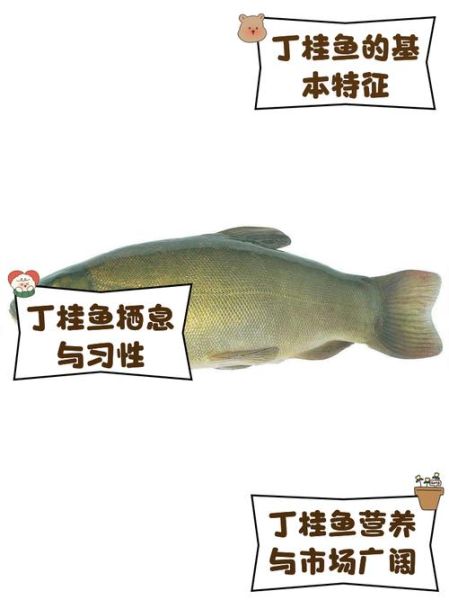 丁桂鱼好吃吗_丁桂鱼口感怎么样-第2张图片-山城妙识