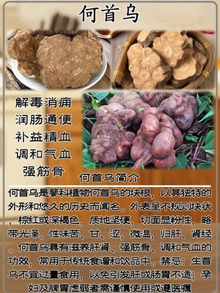 何首乌的功效与禁忌_何首乌怎么吃才安全-第1张图片-山城妙识