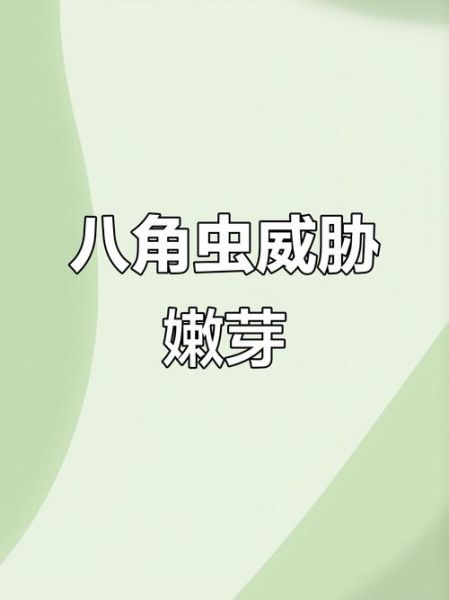 八角虫咬人吗_八角虫有毒吗-第1张图片-山城妙识