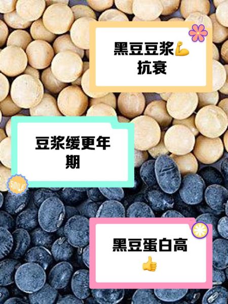 大豆图片和黄豆图片的区别_如何分辨黄豆与大豆-第3张图片-山城妙识 大豆图片和黄豆图片的区别_如何分辨黄豆与大豆-第3张图片-山城妙识