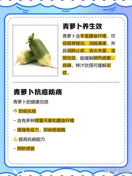 青萝卜的功效与作用_青萝卜怎么吃最健康-第1张图片-山城妙识