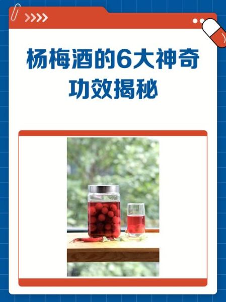 杨梅酒的功效与作用_杨梅酒怎么喝才养生-第3张图片-山城妙识
