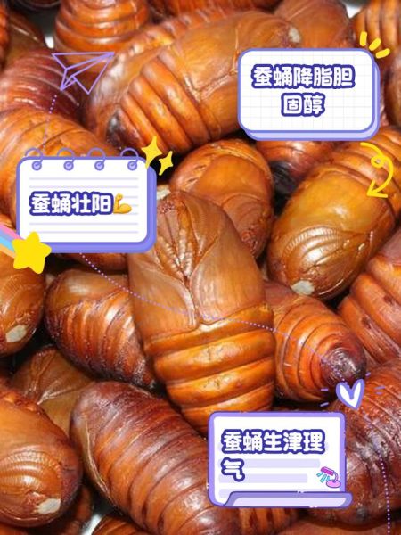 蚕蛹怎么做好吃_蚕蛹的烹饪方法大全-第1张图片-山城妙识