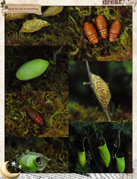 蚕茧的拼音怎么写_蚕茧拼音声调是几声-第1张图片-山城妙识
