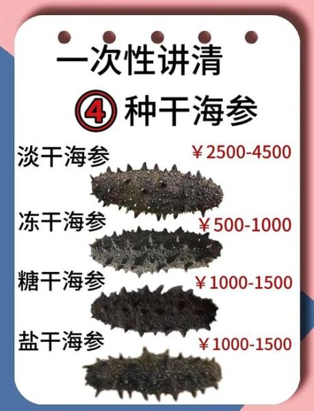 鲜海参多少钱一斤_鲜海参价格为什么差别大-第1张图片-山城妙识