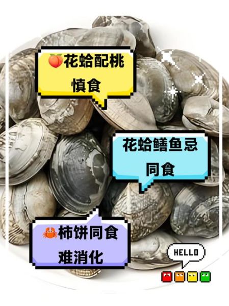 吃花蛤不能和什么一起吃_花蛤与哪些食物相克-第1张图片-山城妙识