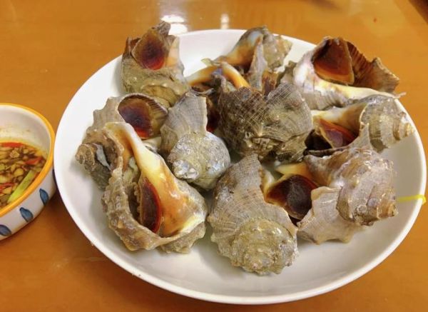 海螺煮多久杀死寄生虫_海螺要煮几分钟才安全-第1张图片-山城妙识 海螺煮多久杀死寄生虫_海螺要煮几分钟才安全-第1张图片-山城妙识