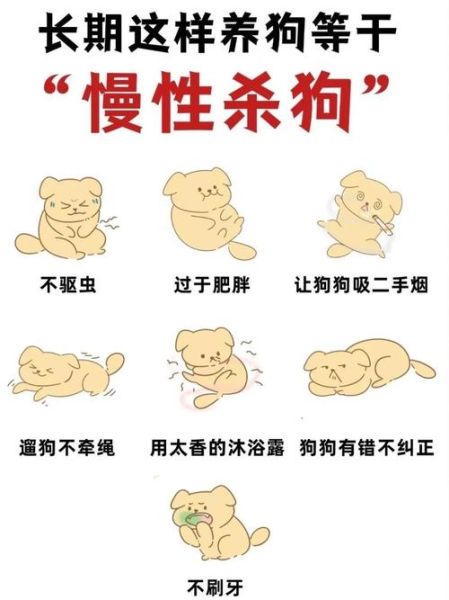 如何安全杀狗_杀狗方法有哪些-第1张图片-山城妙识