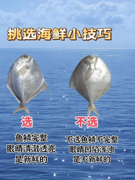 海鲜图片大全_如何挑选新鲜海鲜-第2张图片-山城妙识