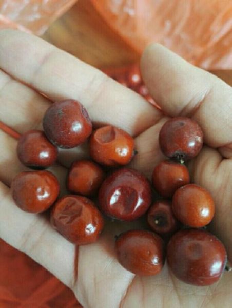 邢台特产有哪些土特产_邢台土特产哪里买最正宗-第3张图片-山城妙识