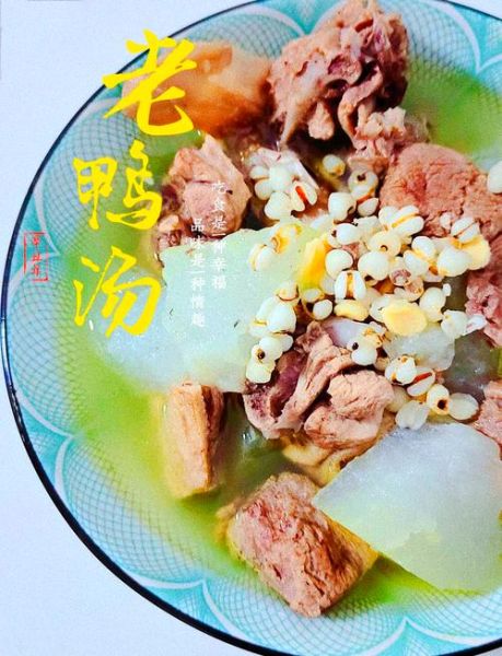 冬瓜鸭肉汤怎么煲_冬瓜鸭肉汤做法大全-第1张图片-山城妙识